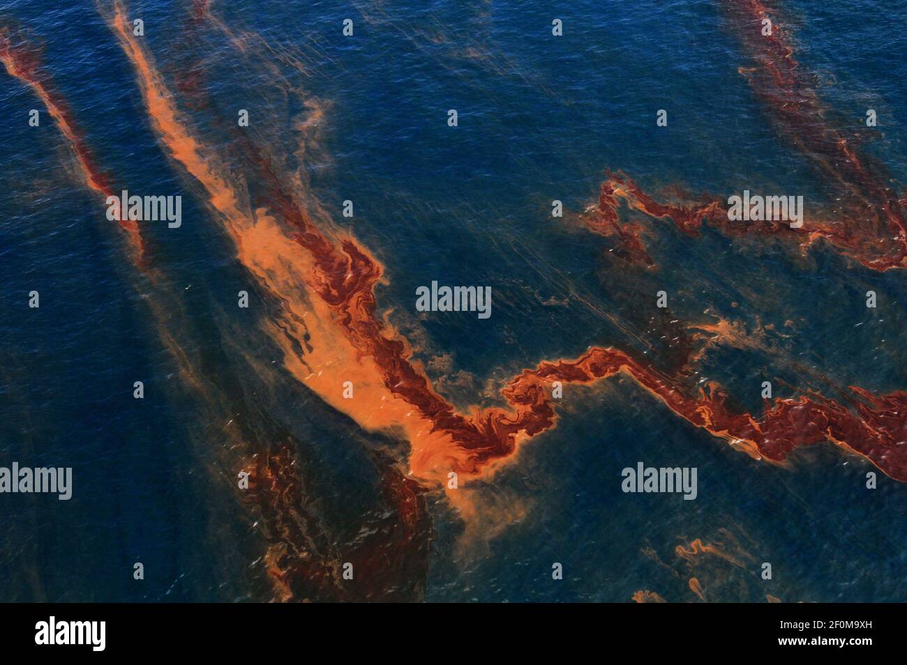 Oil and dispersant on the water's surface in the Gulf of Mexico on May ...
