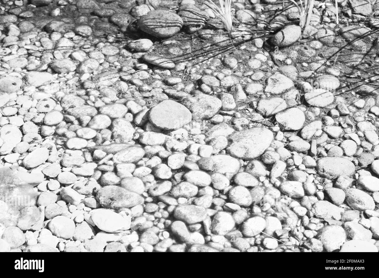 Wallpaper grass river Black and White Stock Photos & Images - Alamy