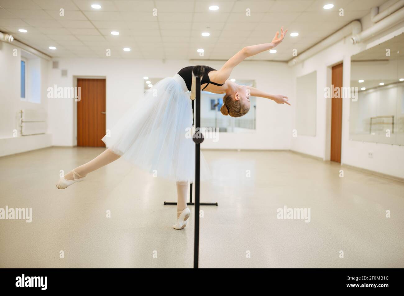 Elegant young ballerina rehearsing at the barre Stock Photo - Alamy