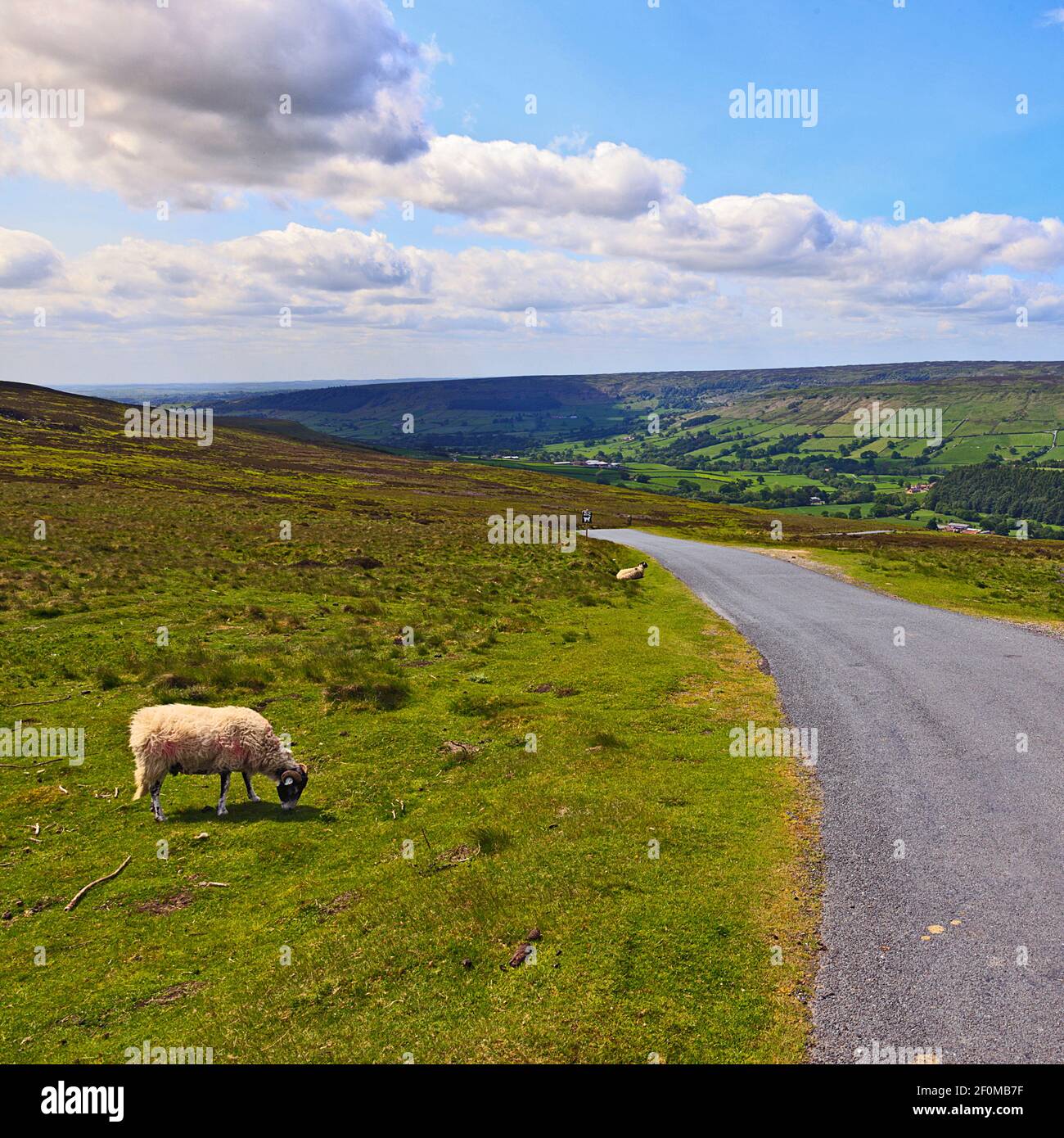 Farndale moors hi-res stock photography and images - Alamy