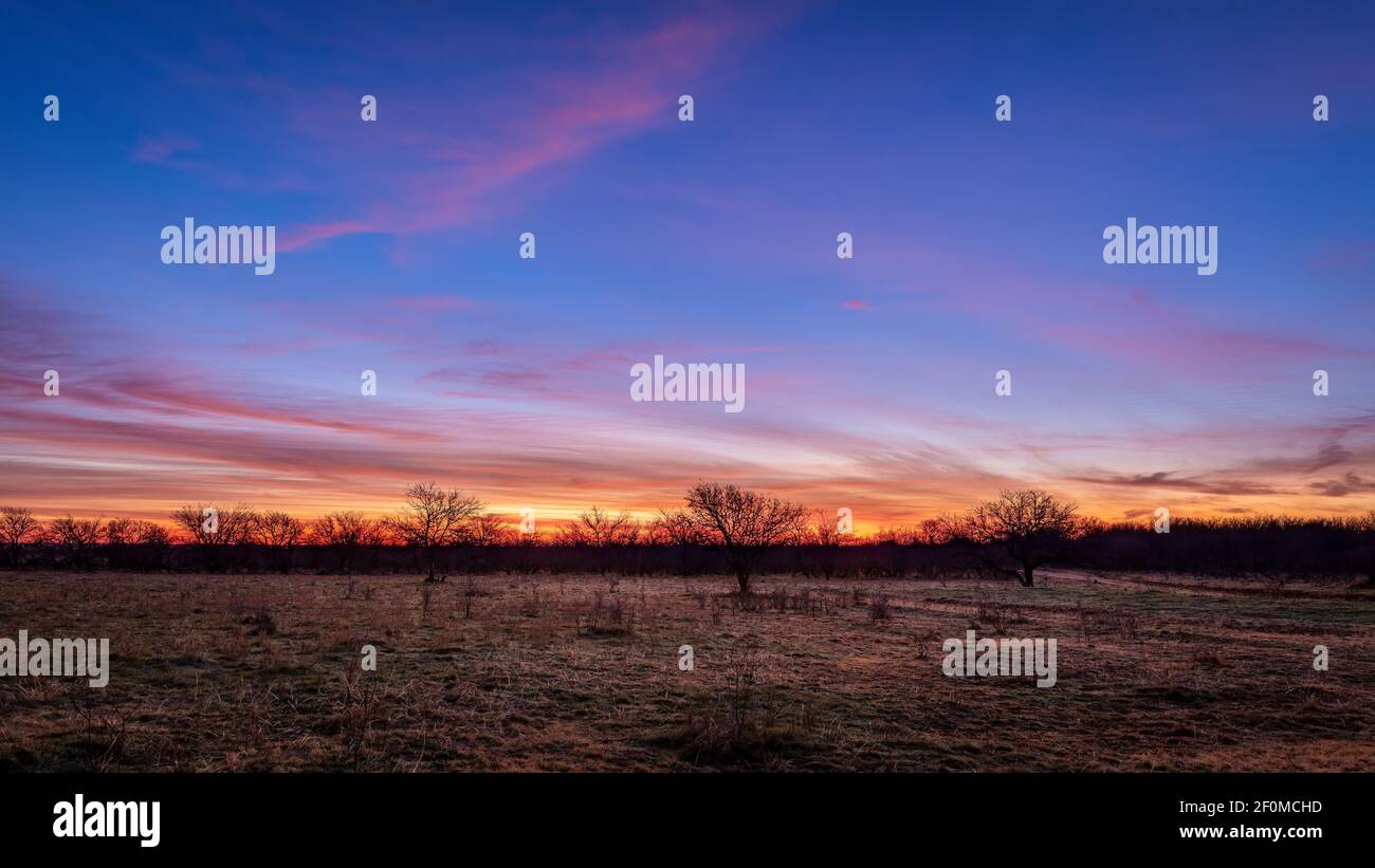 Mesquite and texas hi-res stock photography and images - Alamy