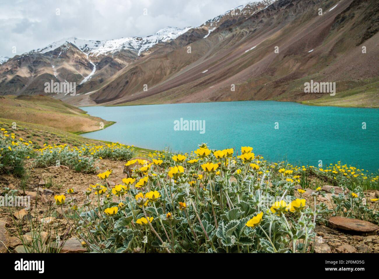 Chandra_taal hi-res stock photography and images - Alamy