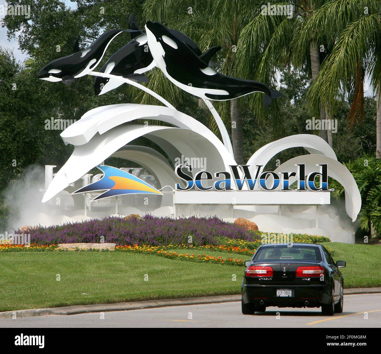 SeaWorld is planning seven new attractions and two Sesame Street ...