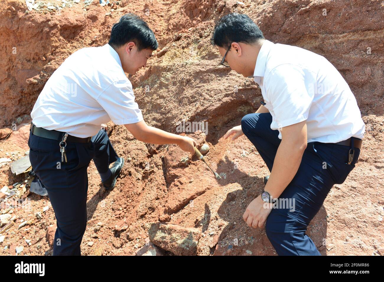 In this undated photo, Chinese archaeologists unearth 65 million year ...