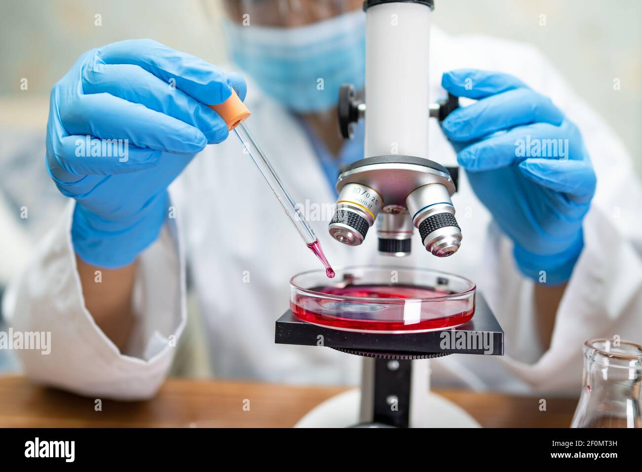 Asian scientist biochemist or microbiologist working research with a ...