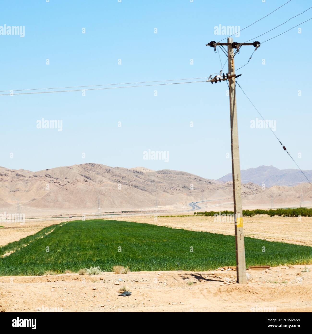 Iran cultivation in the desert hi-res stock photography and images - Alamy