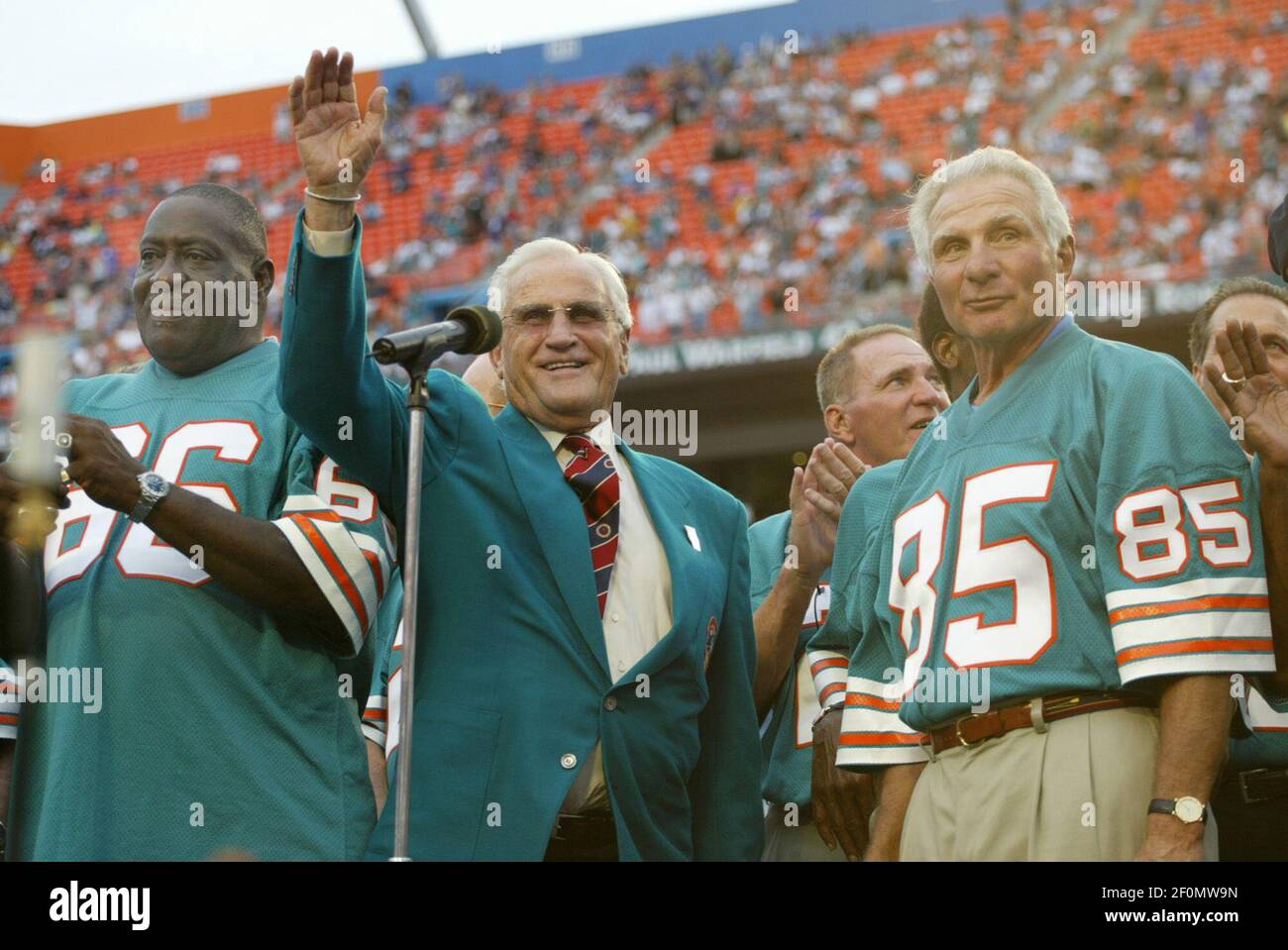 Larry little dolphins hi-res stock photography and images - Alamy