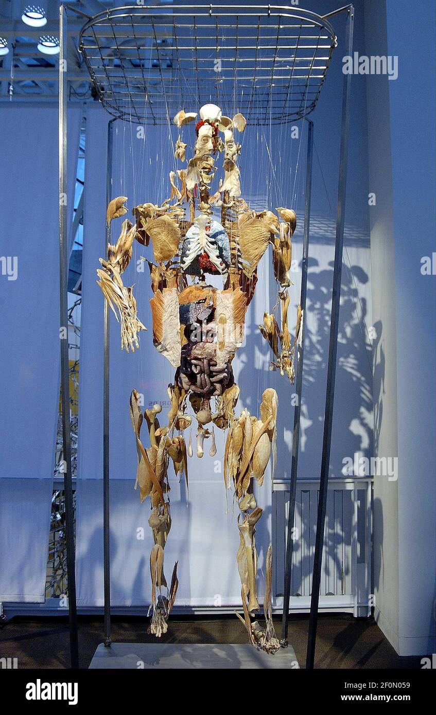 28 January 2005 - Los Angeles, California - BODY WORLDS 2: The ...