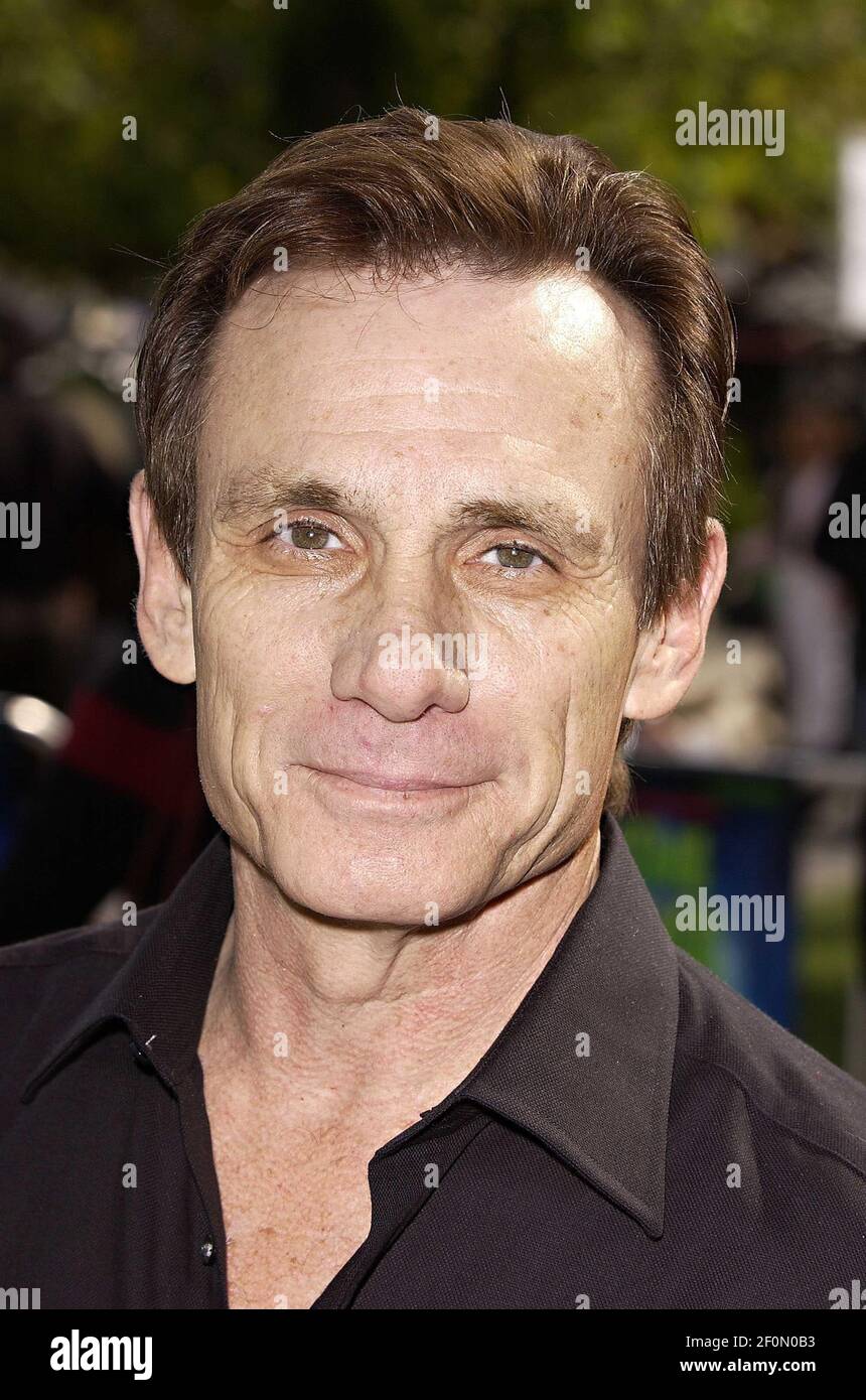 Son of the mask premiere hi-res stock photography and images - Alamy