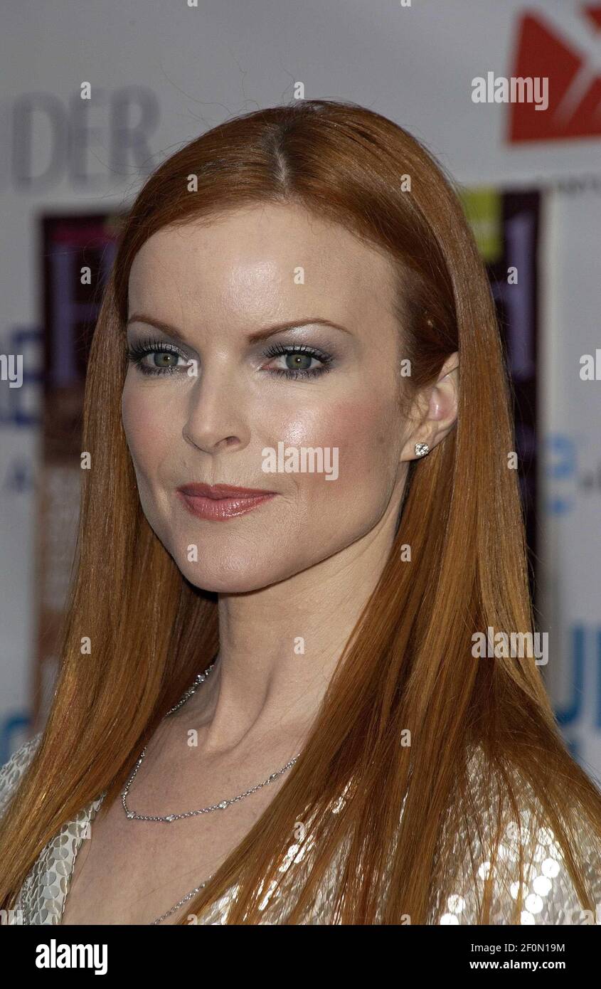 1 May 2005 - Hollywood, California - Marcia Cross. 2005 Movieline Young ...