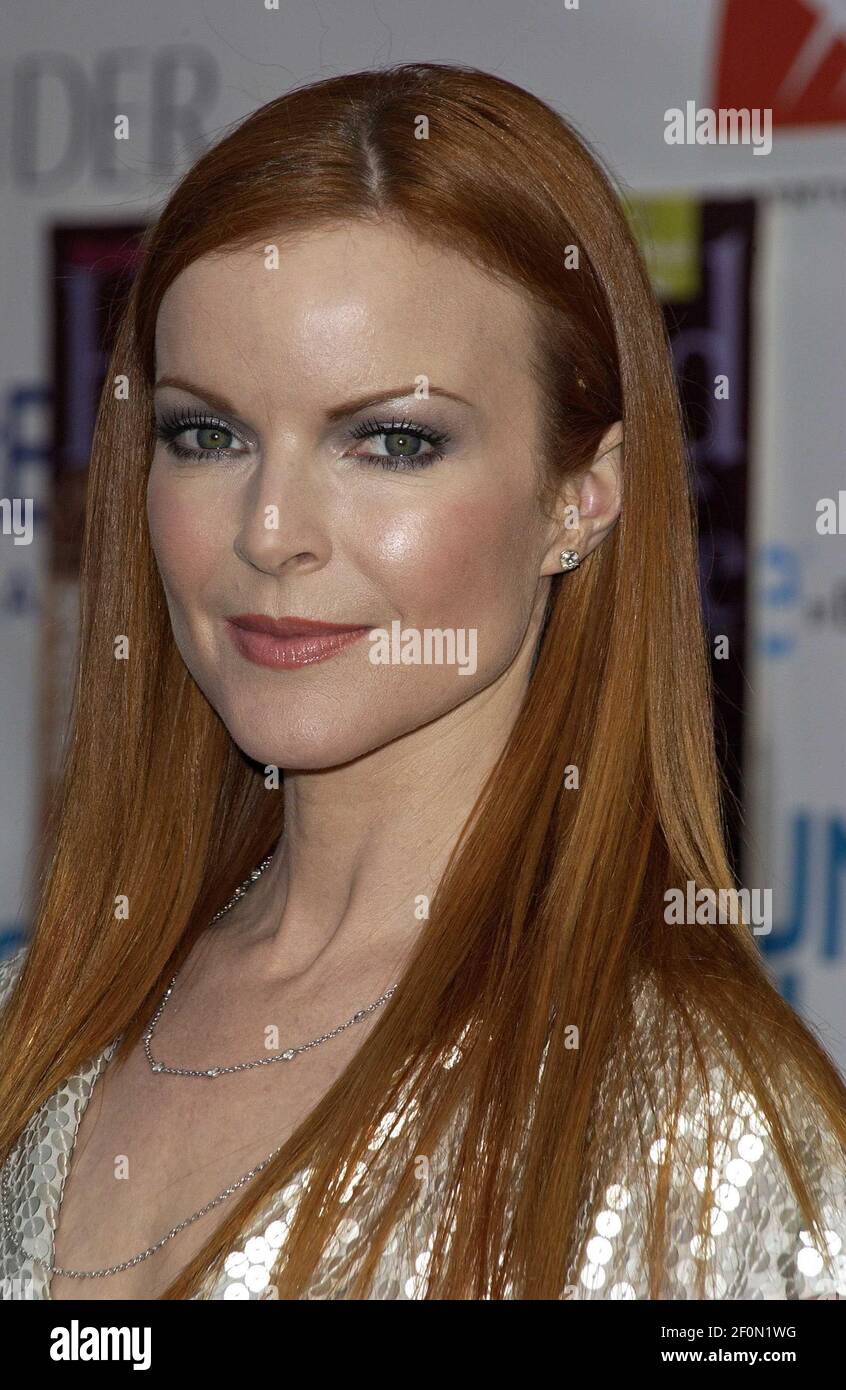 1 May 2005 - Hollywood, California - Marcia Cross. 2005 Movieline Young ...