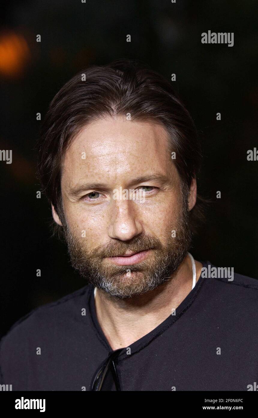 11 August 2005 - Hollywood, California - David Duchovny. "The 40 Year ...