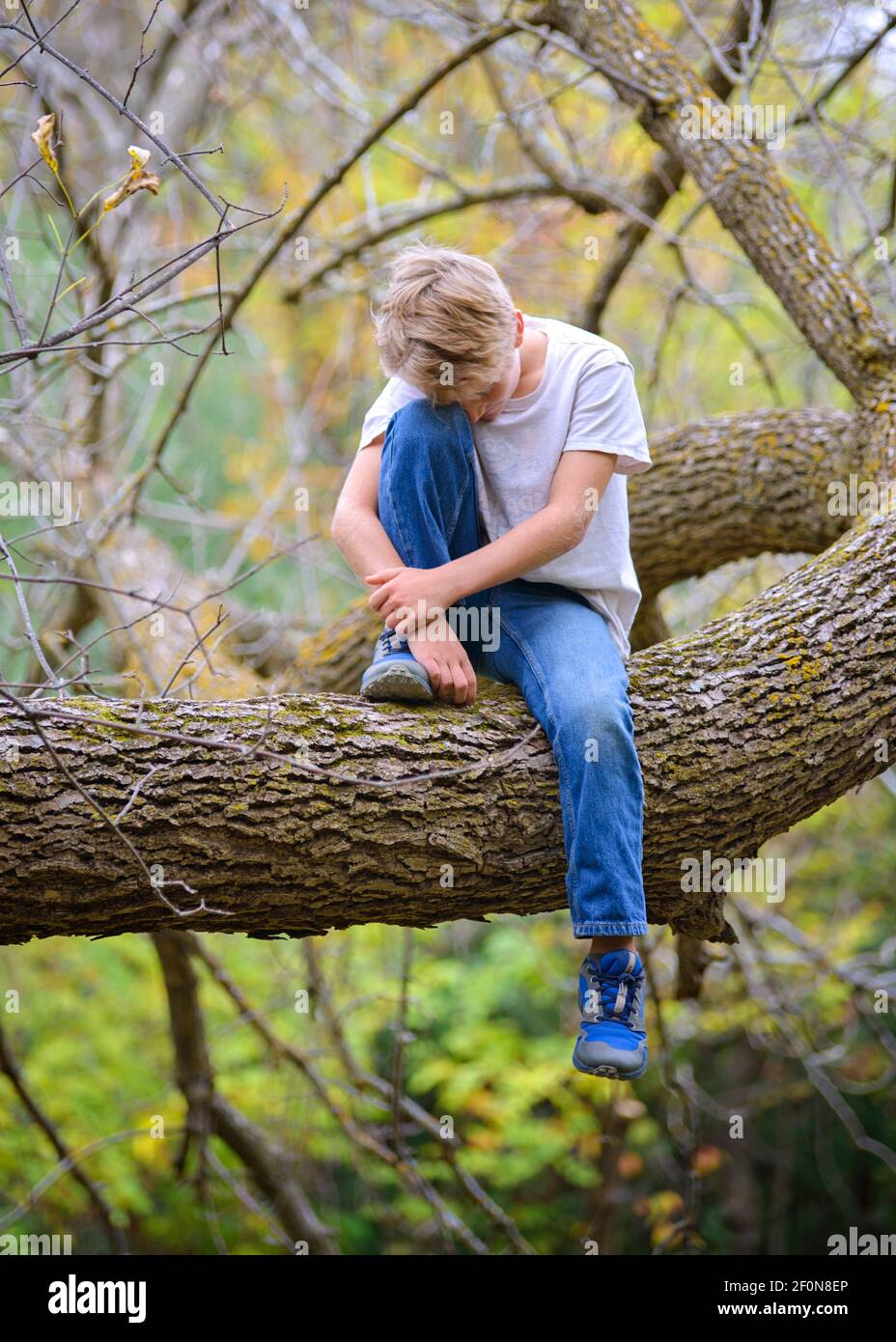Sad yound blond boy sitting on a tree branch in the woods Stock Photo ...