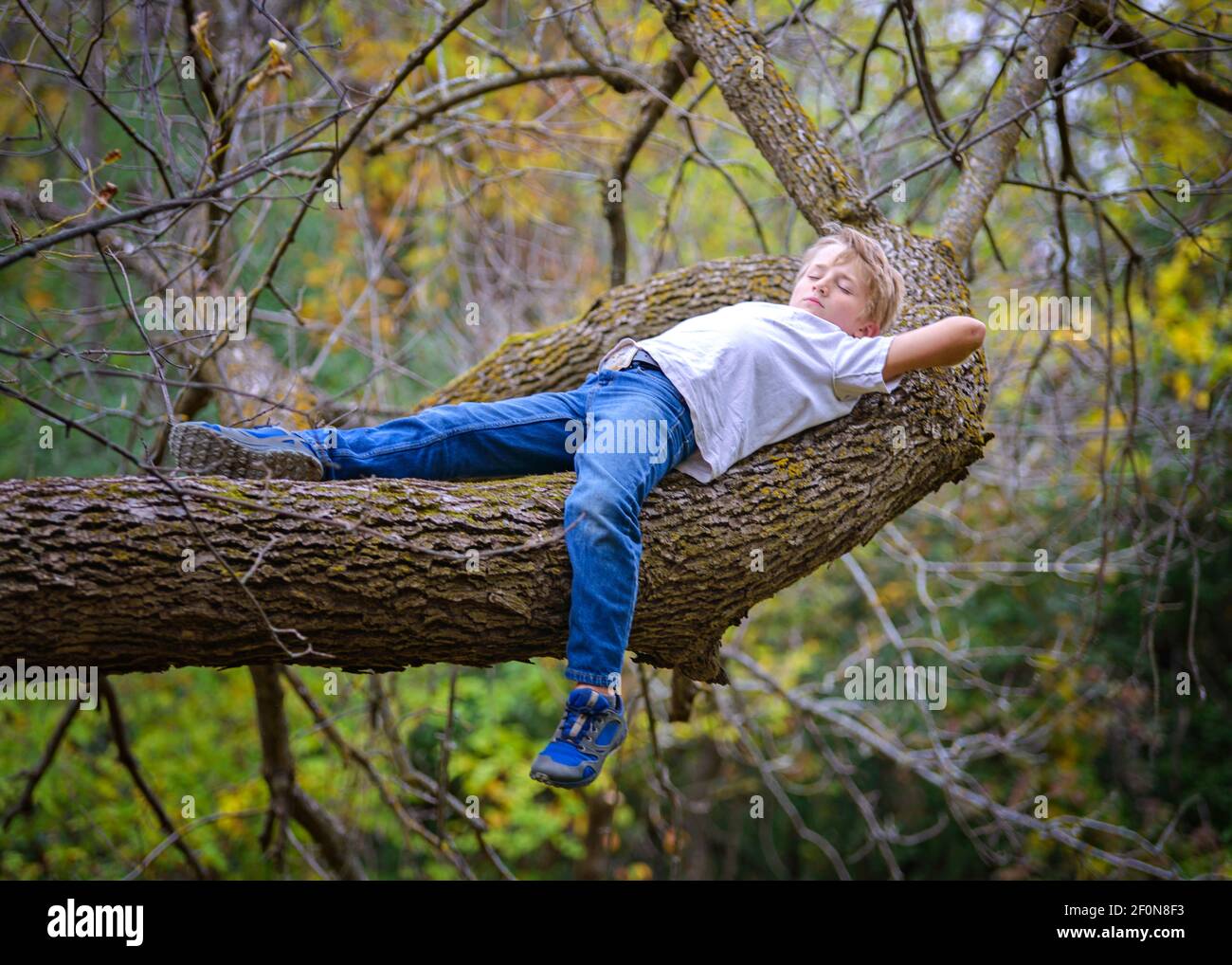 Young blond boy laying on a tree branch quietly Stock Photo - Alamy