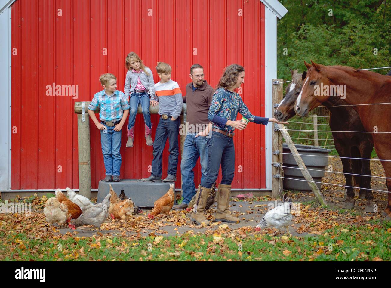 Family by a red barn with horses and chickens Stock Photo - Alamy