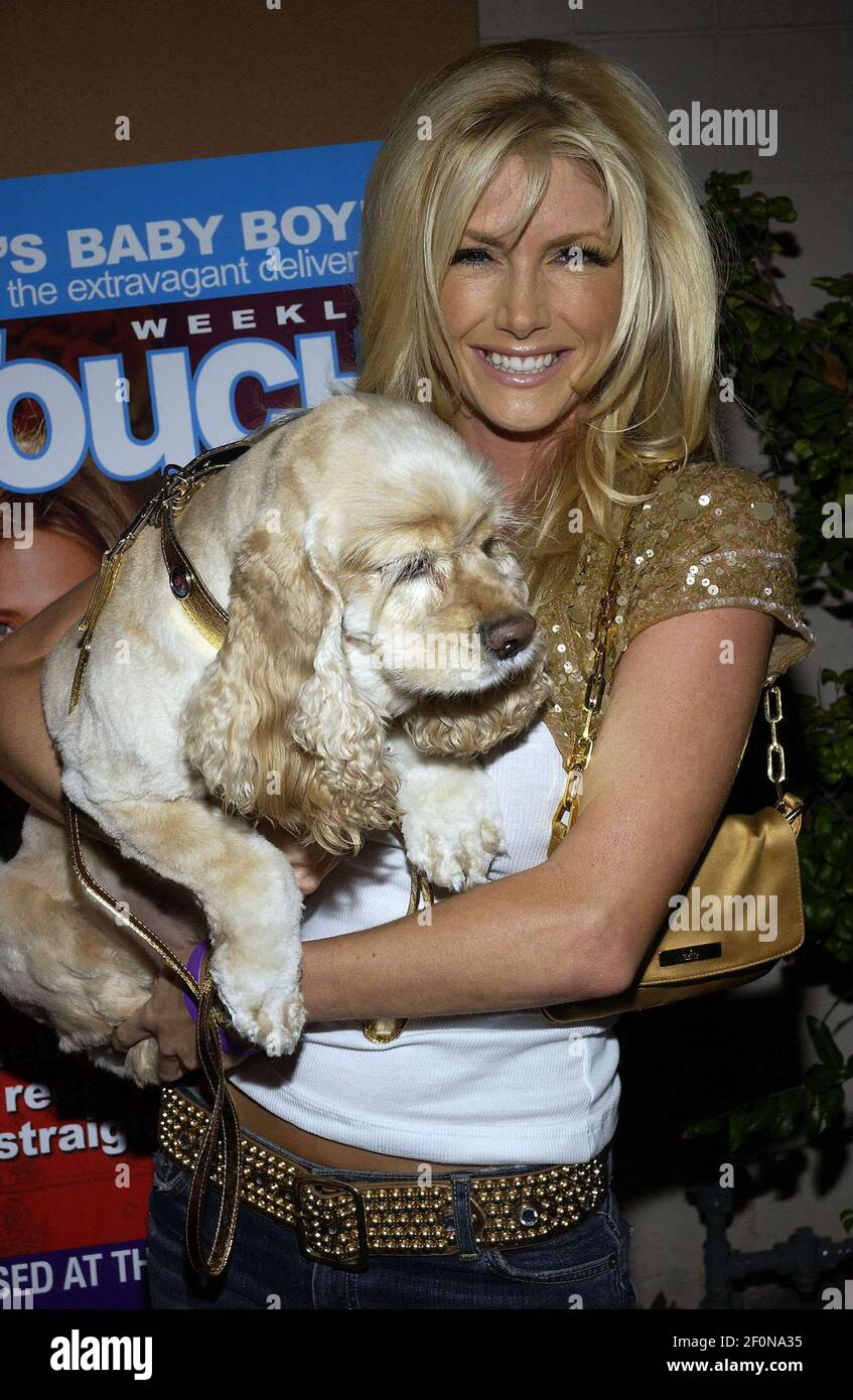 21 September 2005 - Hollywood, California - Brande Roderick. Pets And ...