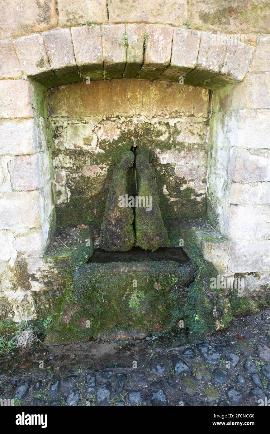 Walkergate High Resolution Stock Photography and Images - Alamy