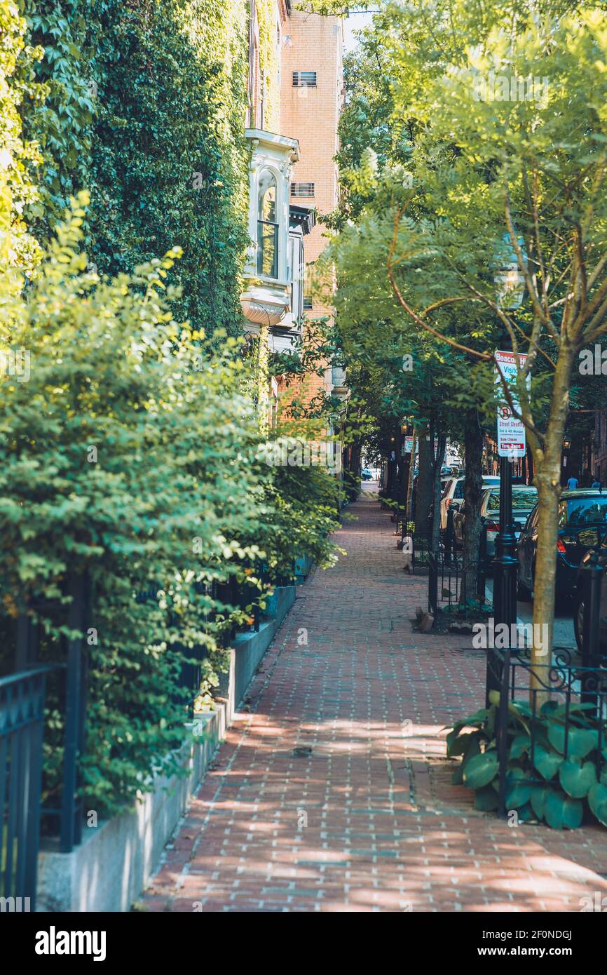 Telephotos hi-res stock photography and images - Alamy