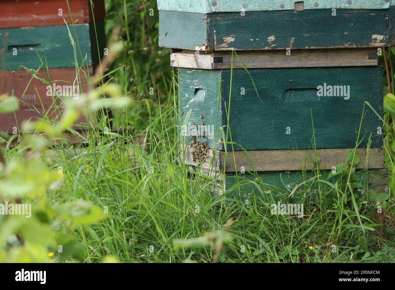 Beehive garden wales hi-res stock photography and images - Alamy