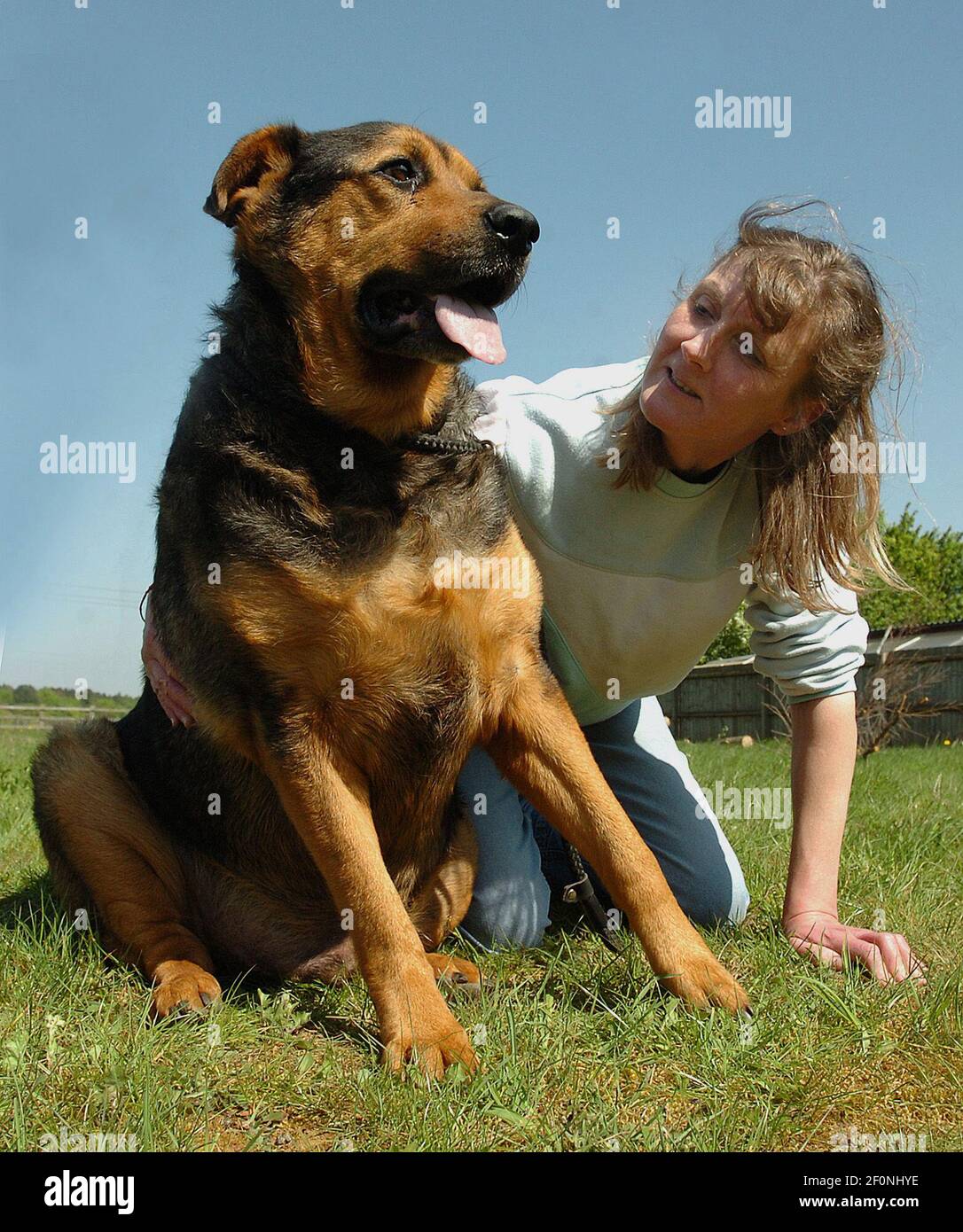 ANNABELLE POTTLE WITH SUPER HEAVYWEIGHT DOG 'PIE' THE STRAY THAT WEIGHS ...