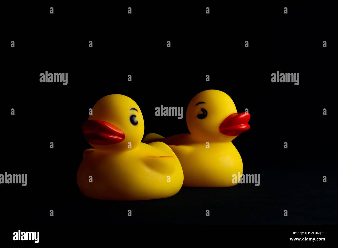Two duckies hi-res stock photography and images - Alamy