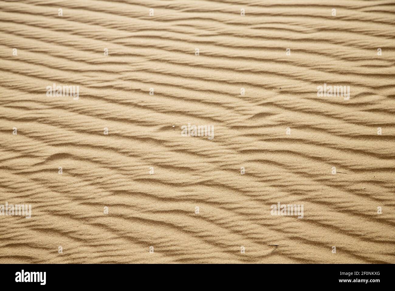 Africa the brown dune sahara desert line Stock Photo - Alamy