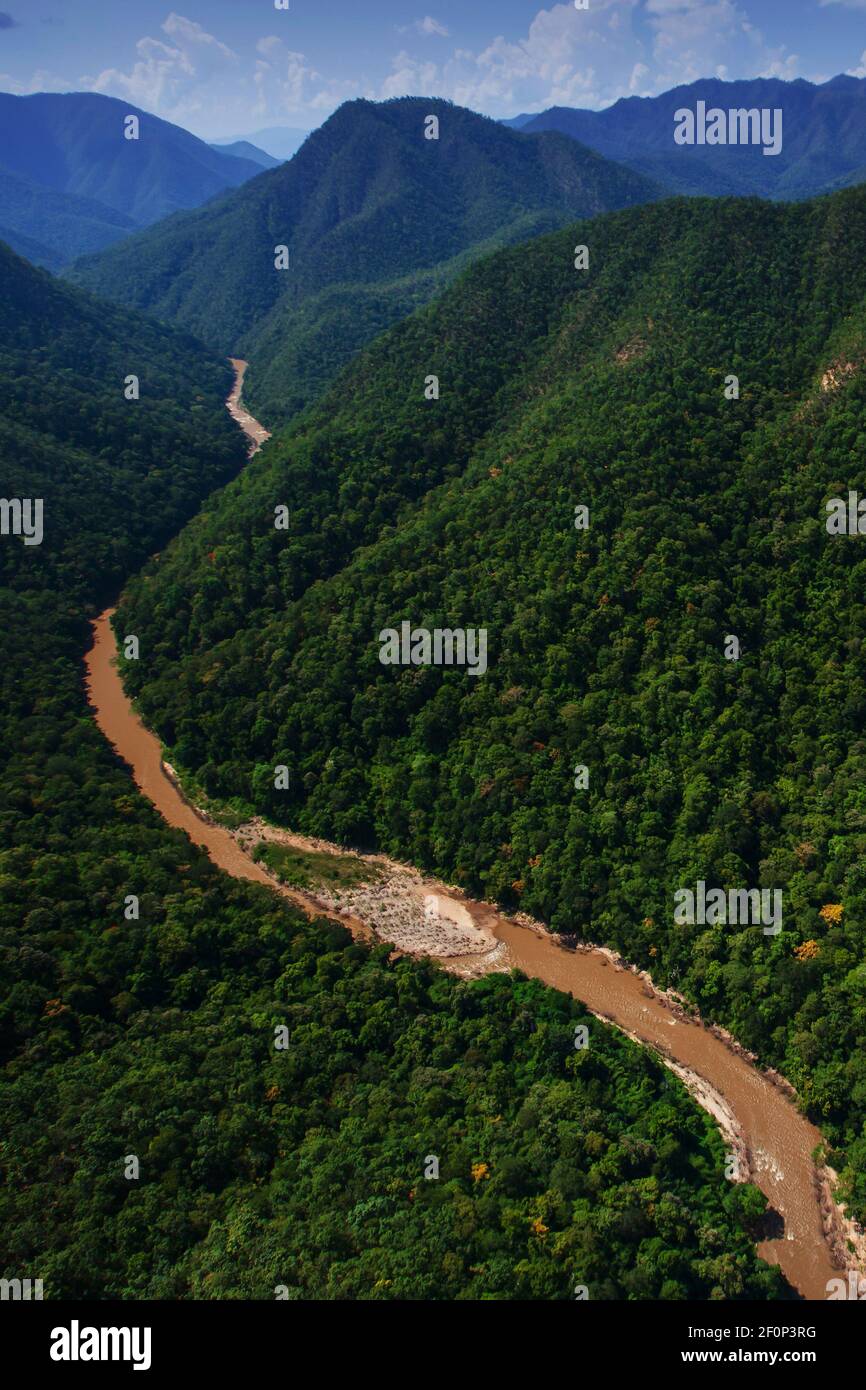 Aerial view of Teak forest and a river near Thailand and Myanmar border ...