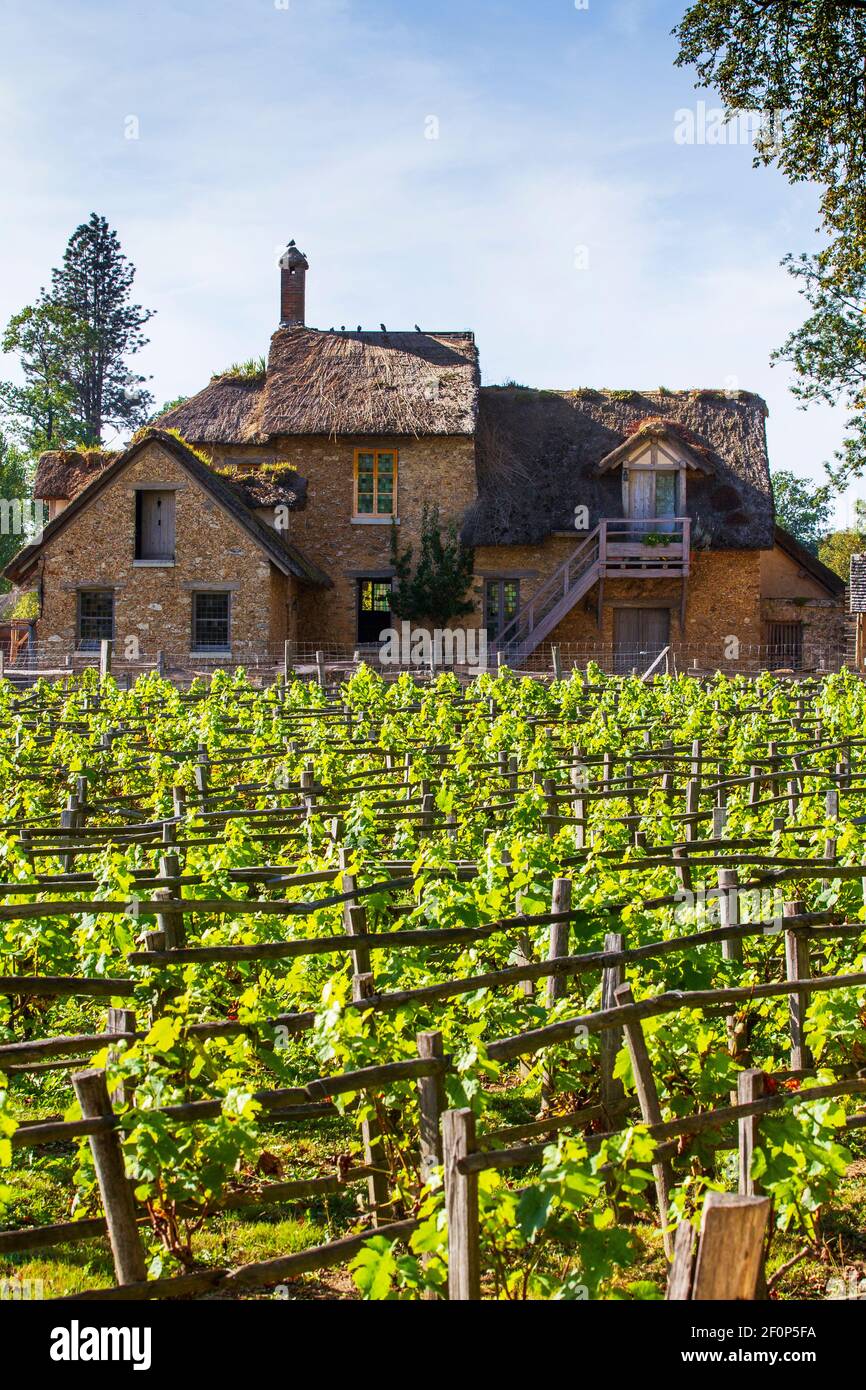 Traditional farming practice hi-res stock photography and images - Alamy