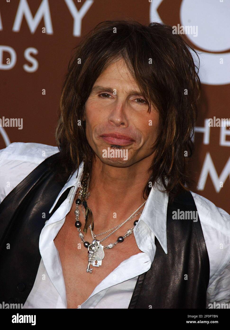 8 February 2006 - Los Angeles, California - Steven Tyler. The 48th ...