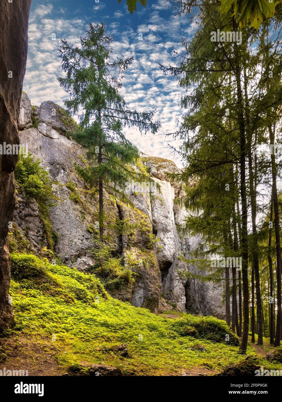 Jurassic limestone rock formations and natural caves in Gora Birow ...