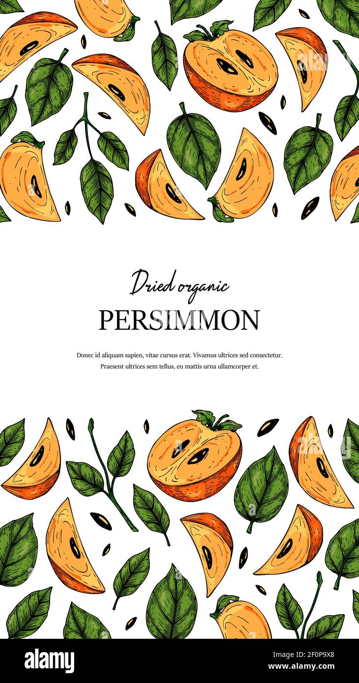 Hand drawn colorful persimmon vertical design. Vector illustration in ...