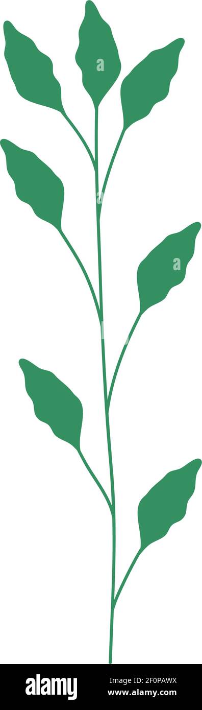 plant with long leaves design Stock Vector Image & Art - Alamy