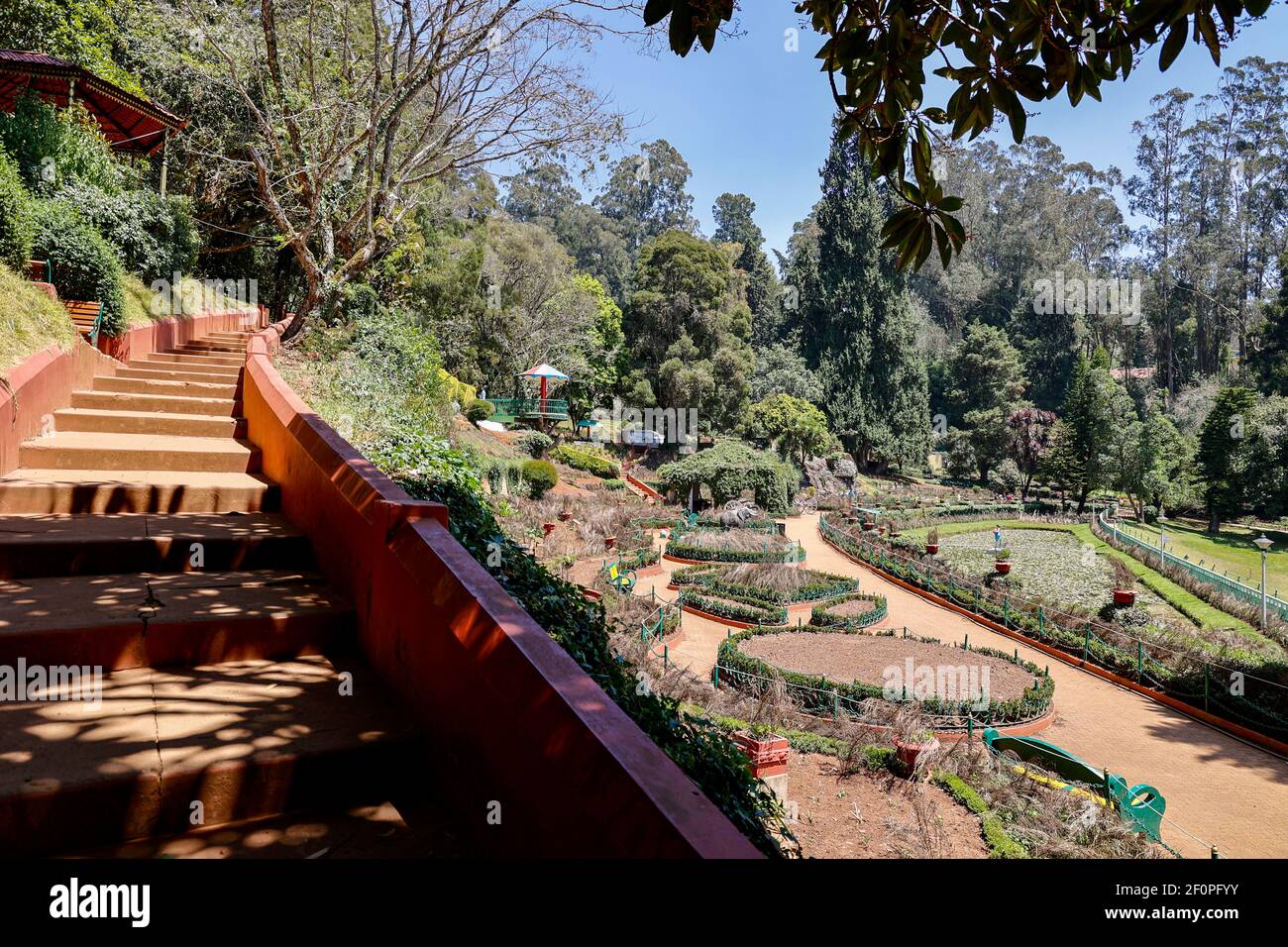View of the terrace landscape of Government Botanical Gardens, Ooty ...