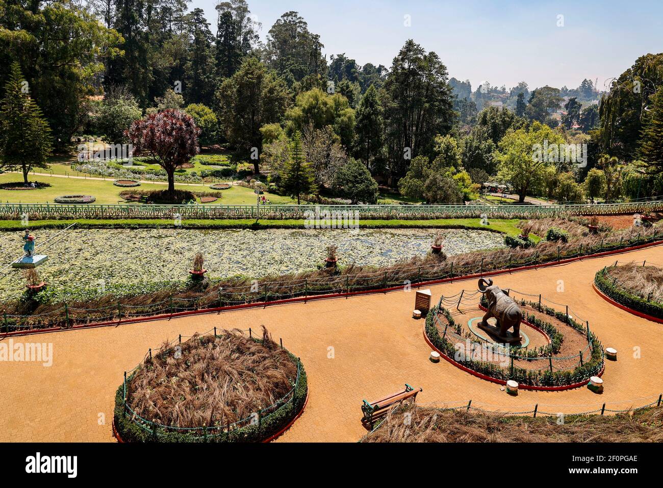 View of the terrace landscape of Government Botanical Gardens, Ooty ...