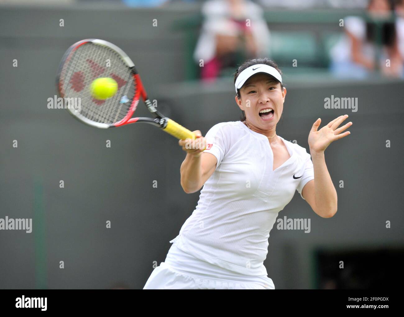 Jie Zheng Li Na