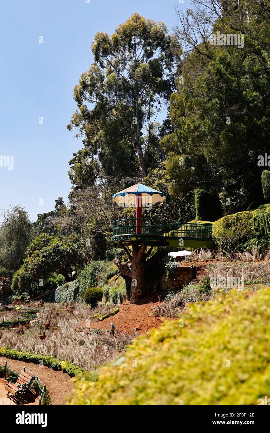 View of the terrace landscape of Government Botanical Gardens, Ooty ...