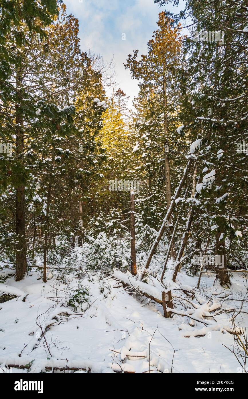 Fathom Five National Park Grey Sauble County Bruce Peninsula Ontario ...