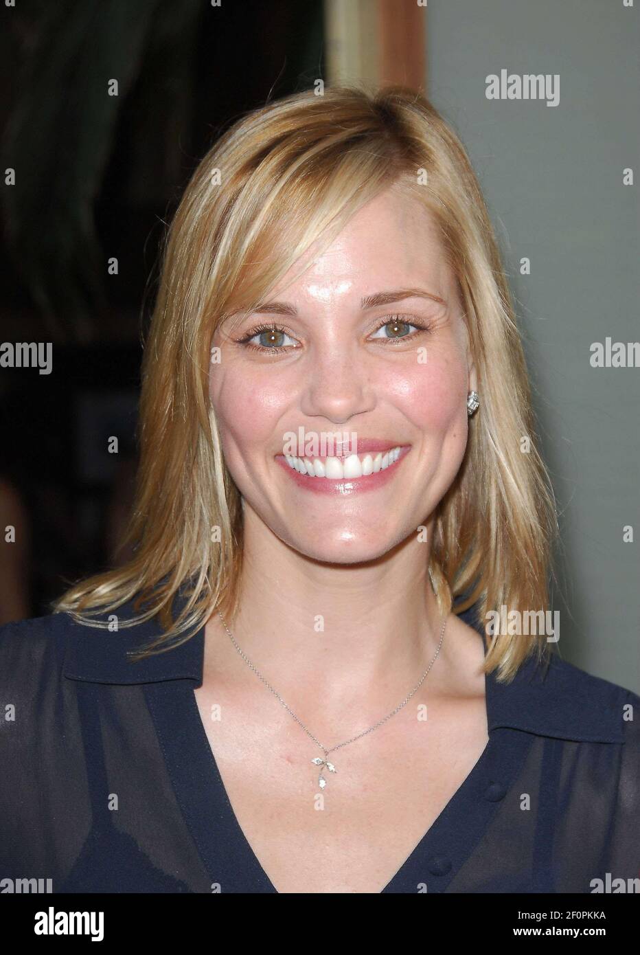 17 June 2006 - Hollywood, California - Leslie Bibb. 4th Annual Night With The Friends of El Faro ...