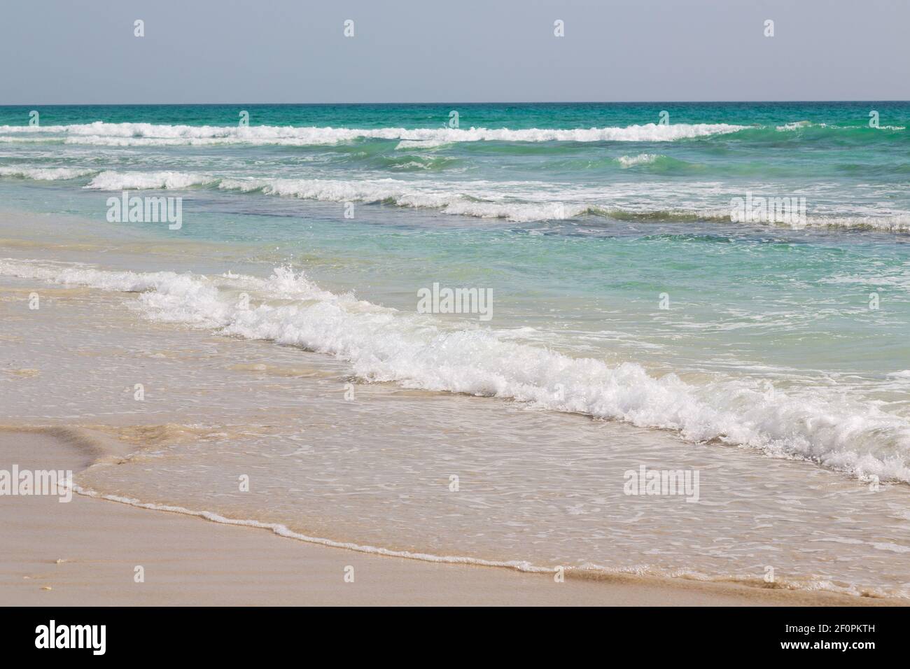 In oman arabic sea sandy beach Stock Photo - Alamy