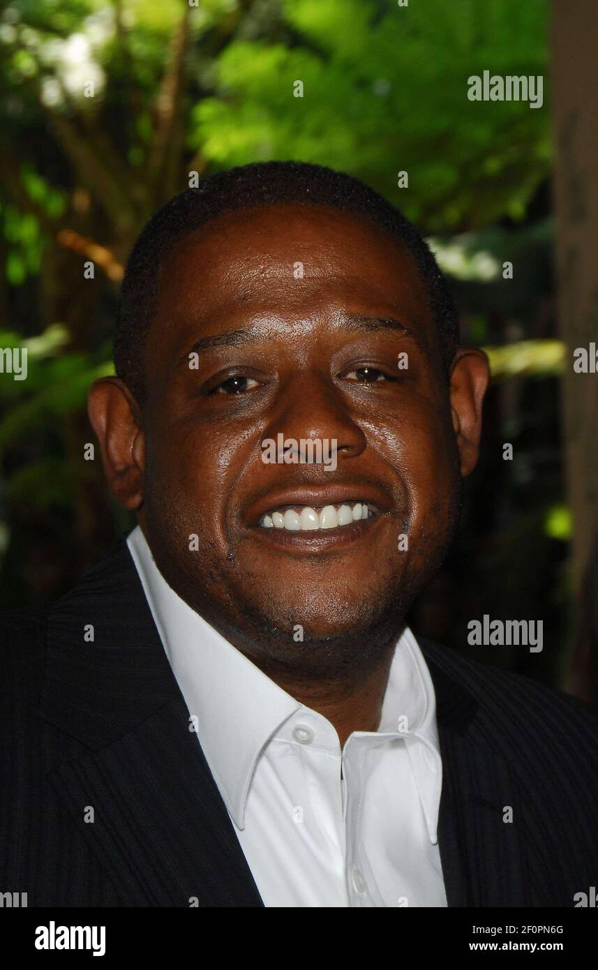 17 August 2006 - Beverly Hills, California - Forest Whitaker. Hollywood ...