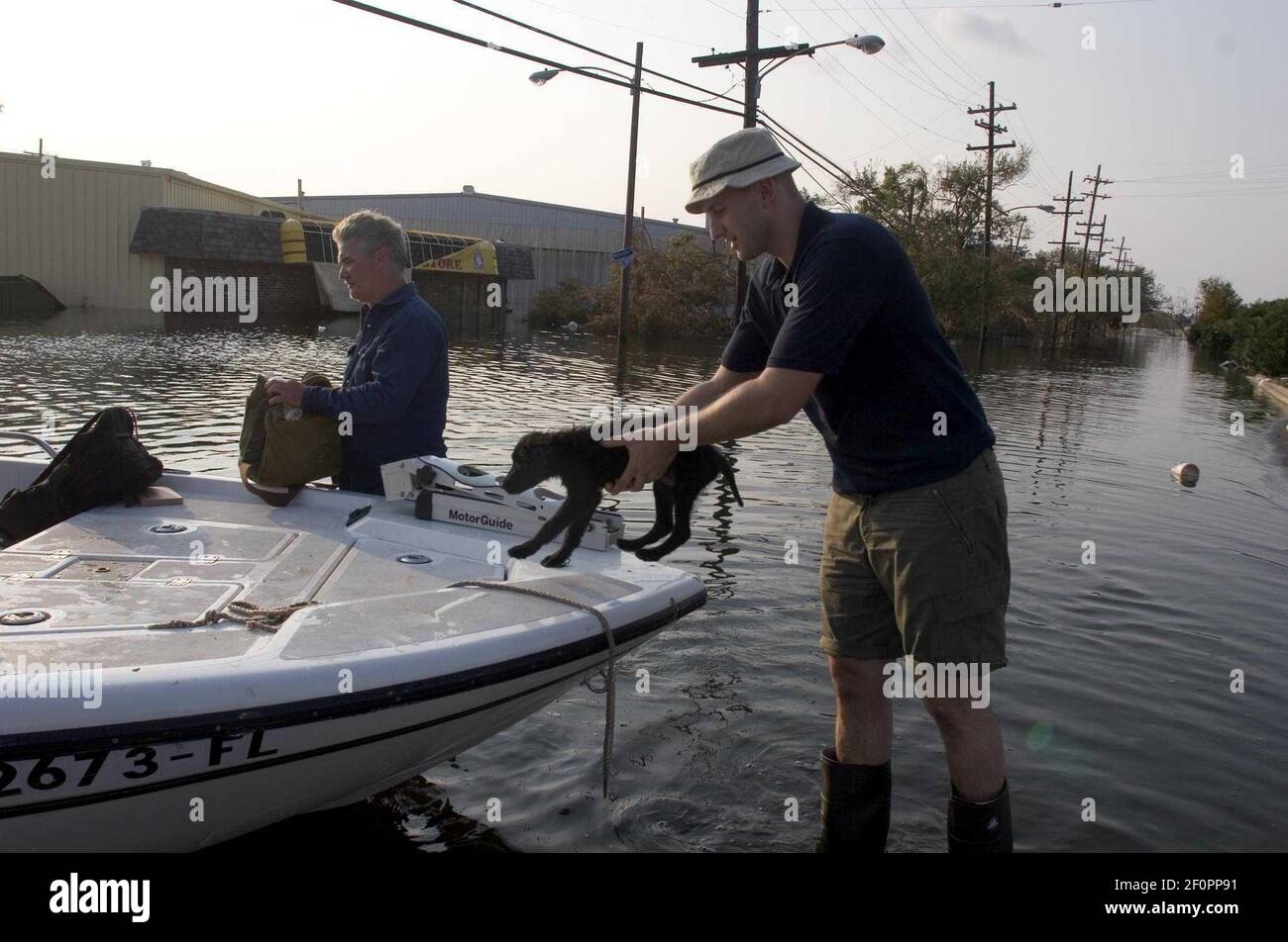 5th Sept, 2005. Hurricane Katrina aftermath. New Orleans. Animal rescue ...