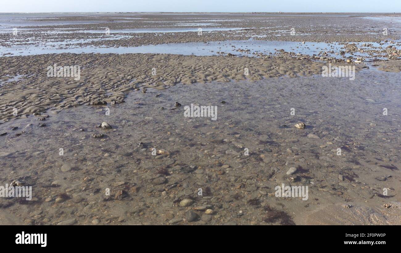 Slowly dandling sea water against shallow sand beach during low tide ...