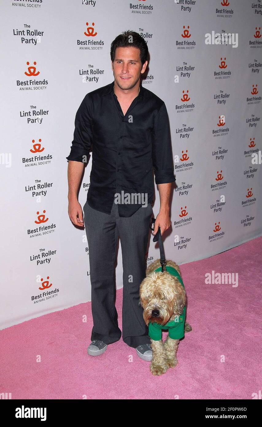 Brandon Williams. The Lint Roller Party, Best Friends Animal Society's ...