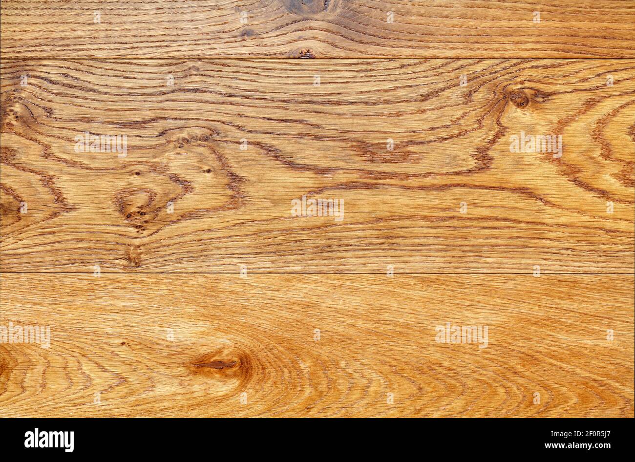 A beautiful pattern of light oak wood in the form of a smooth wooden ...
