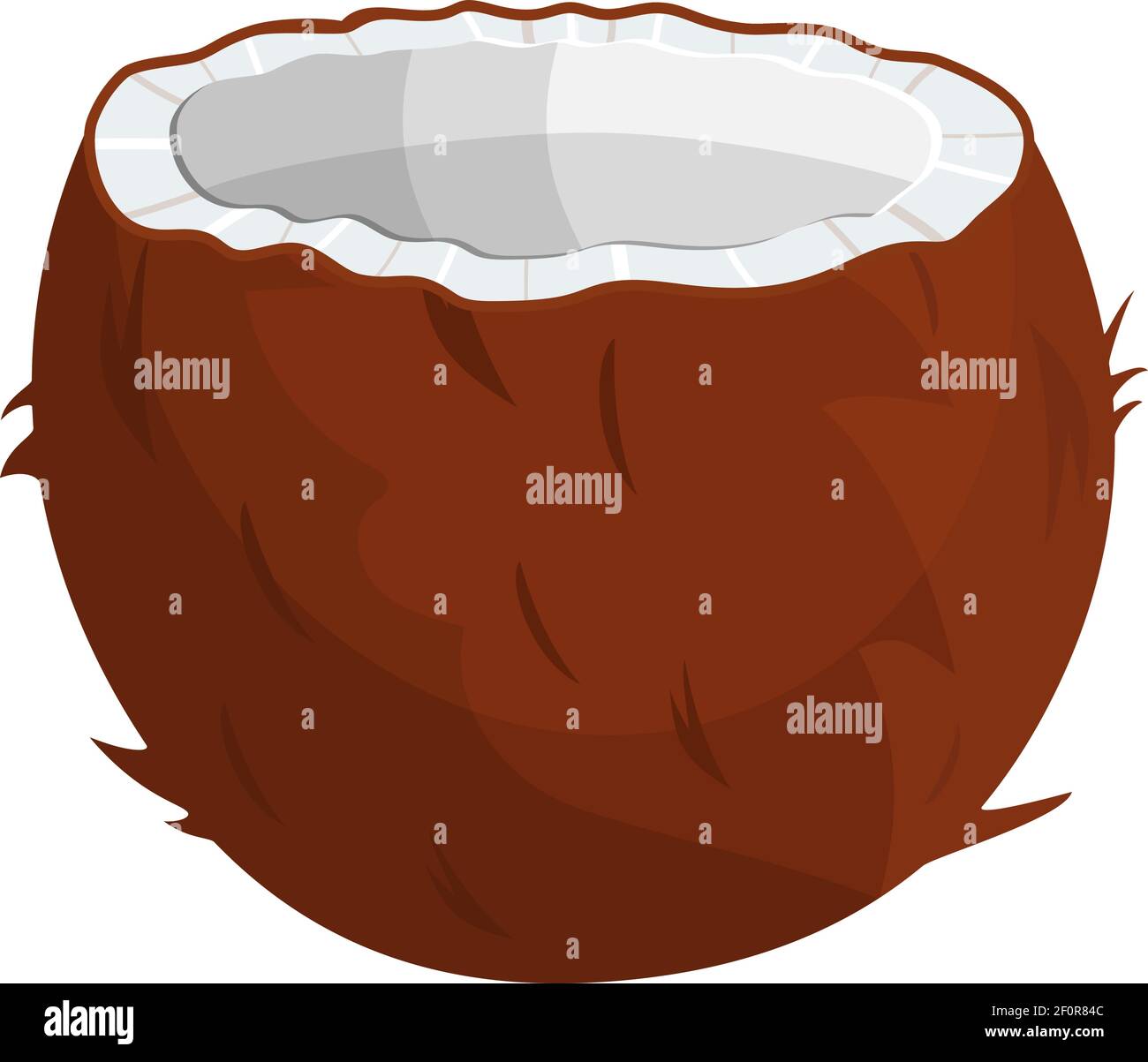 Fresh cracked coconut on Stock Vector Images - Alamy