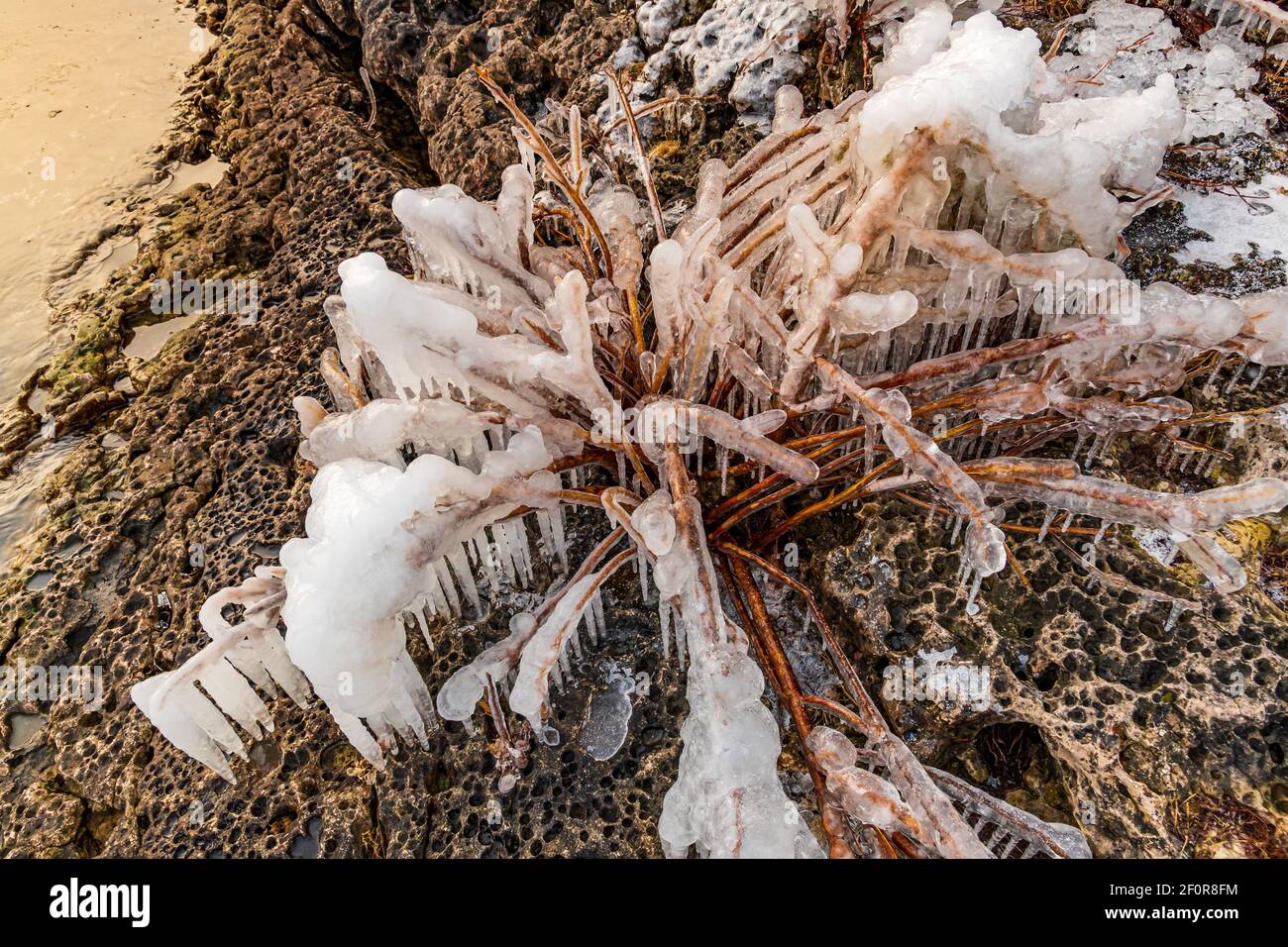 Fathom Five National Park Grey Sauble County Bruce Peninsula Ontario ...