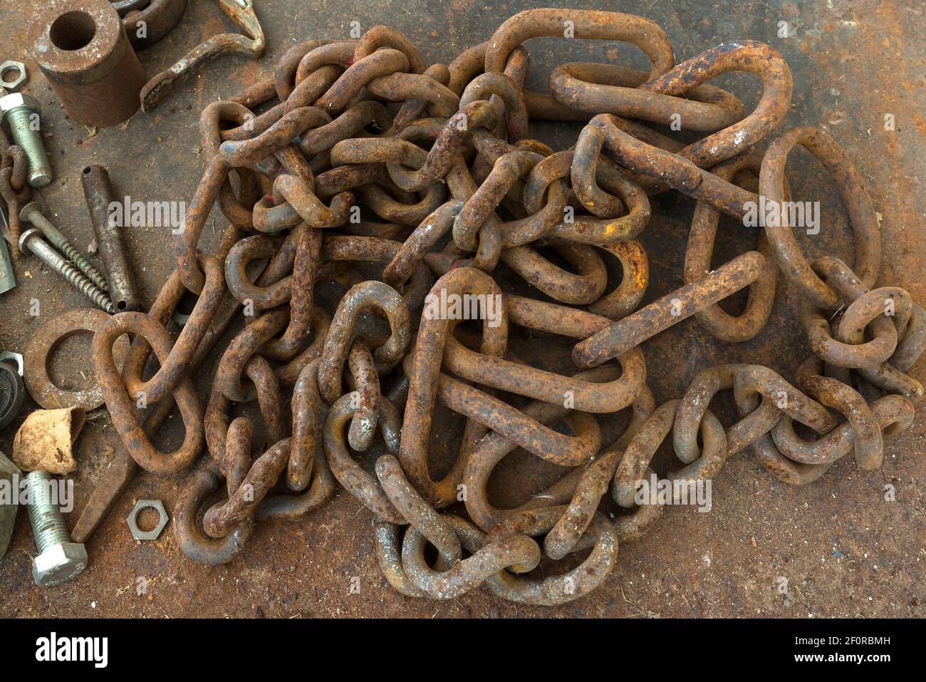 Cow structure hi-res stock photography and images - Alamy