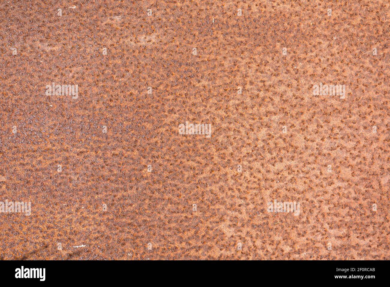 Rusted sheet metal, Germany Stock Photo - Alamy