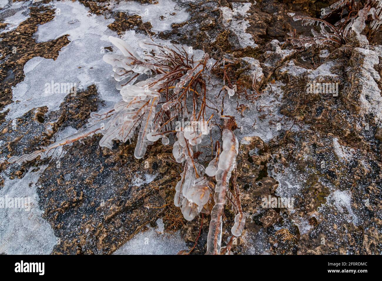 Grey bruce county hi-res stock photography and images - Alamy