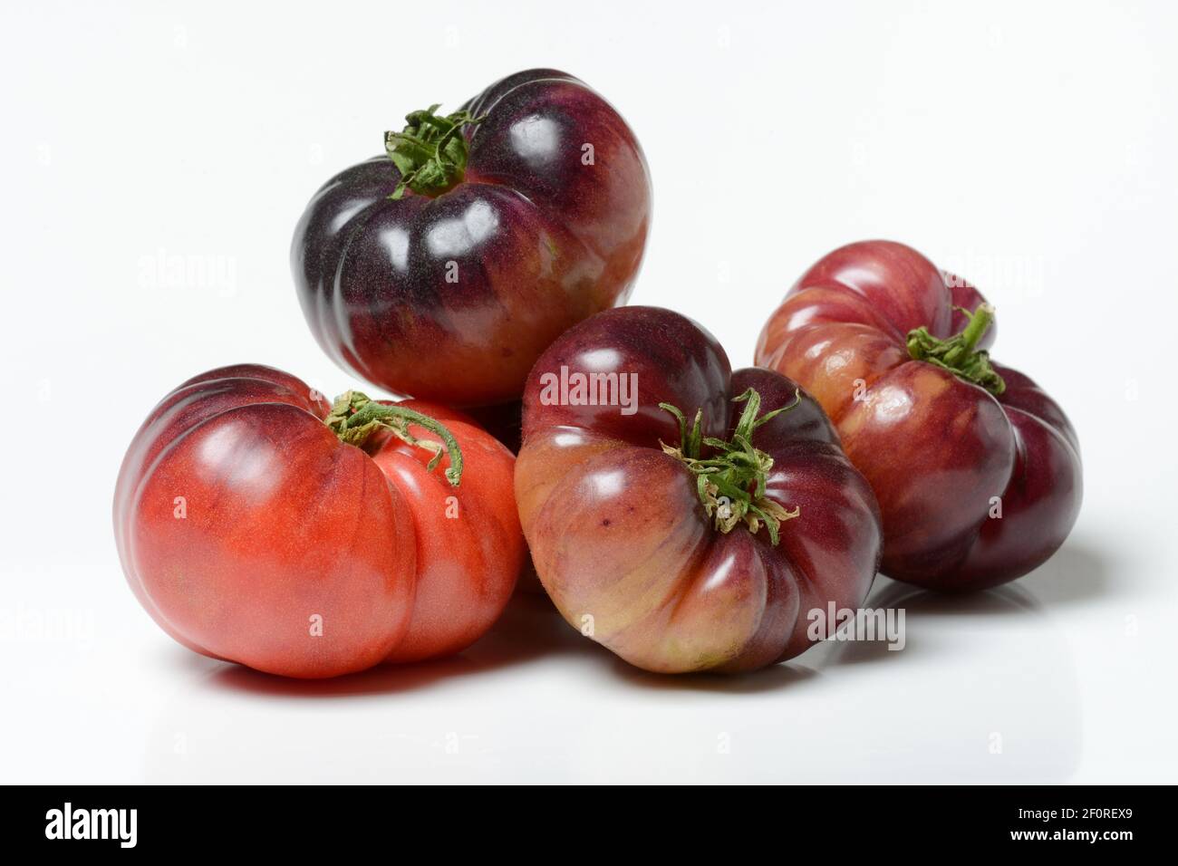 Tomato Mar Azul, blue flesh tomato from Spain, Germany Stock Photo - Alamy